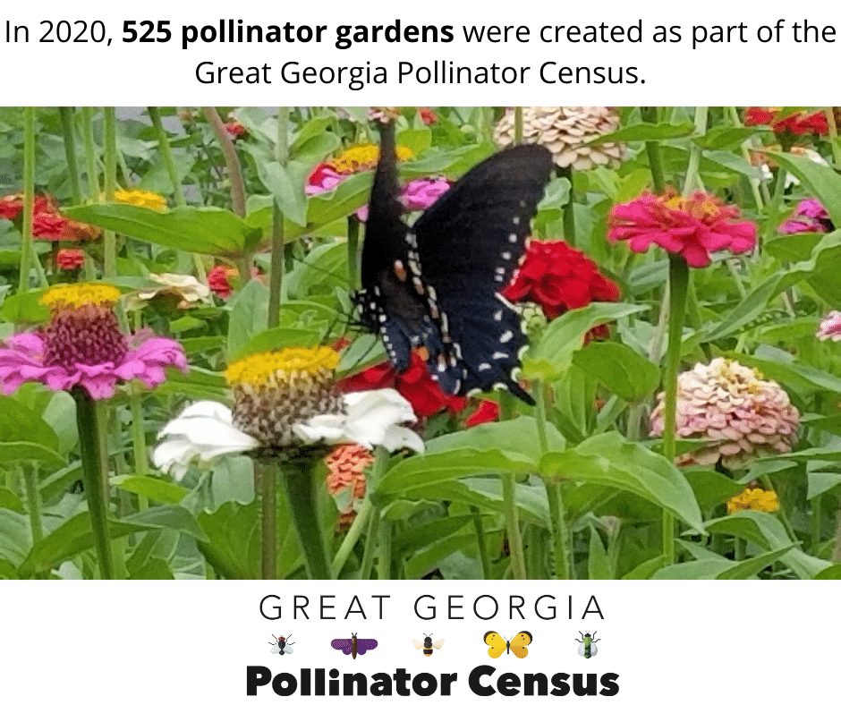 2020 GGAPC Gardens Meme – The Great Southeast Pollinator Census