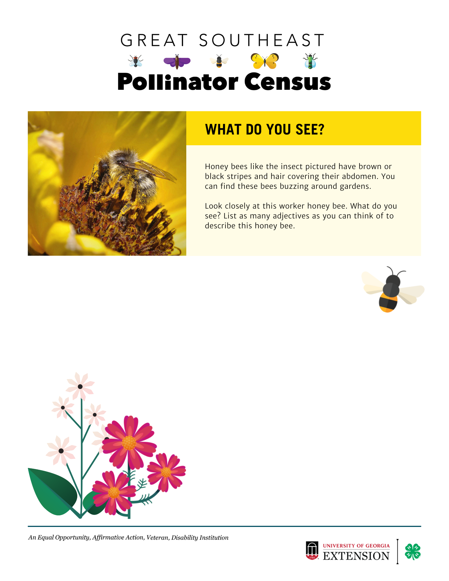 Copy of Great Pollinator Census Bee Description Worksheet – The Great ...