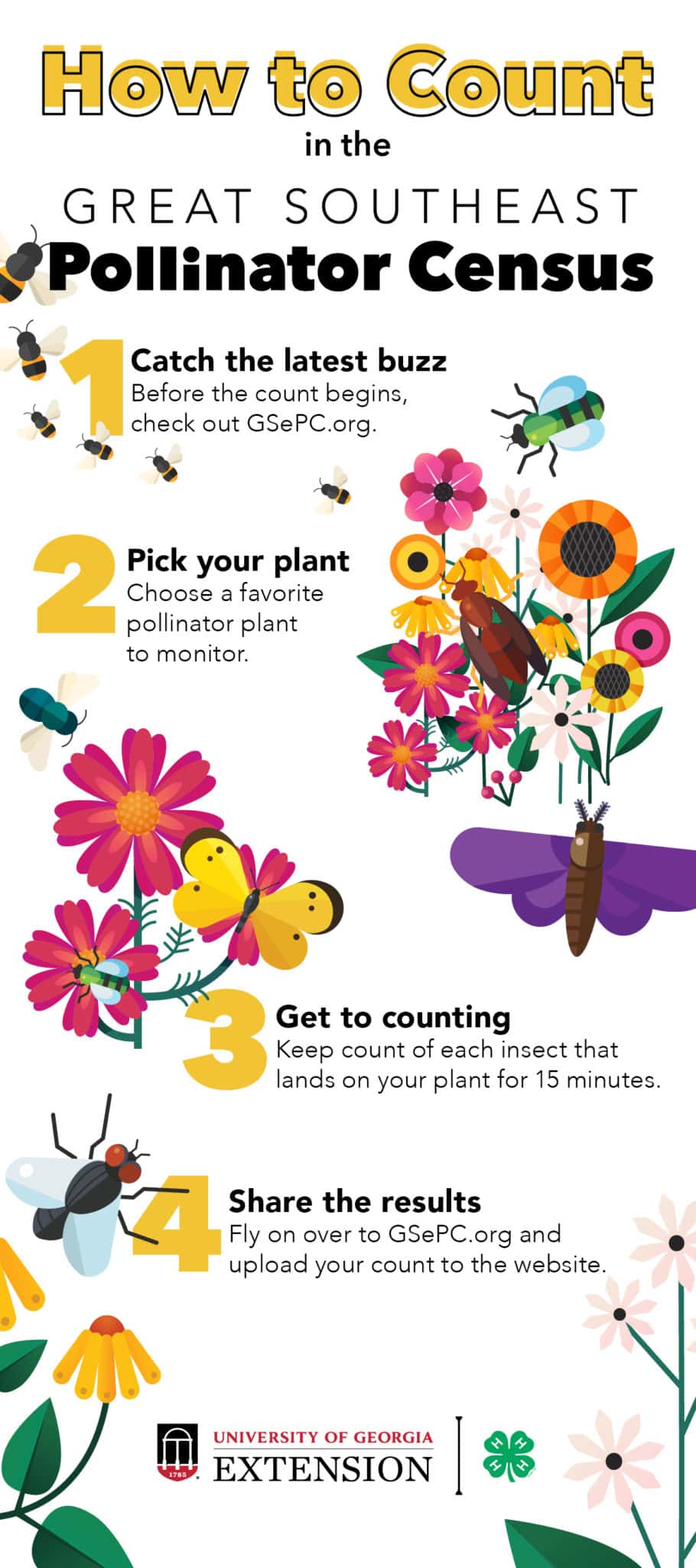 How to Count Handout[48] – The Great Southeast Pollinator Census